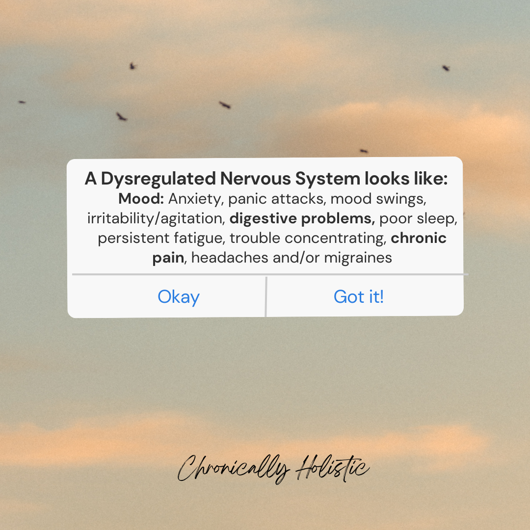 How to Regulate the Nervous System 101. – Chronically Holistic